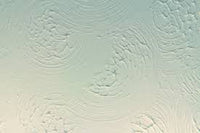 Asbestos Artex & Textured Coatings | All You Need To Know – Asbestos ...